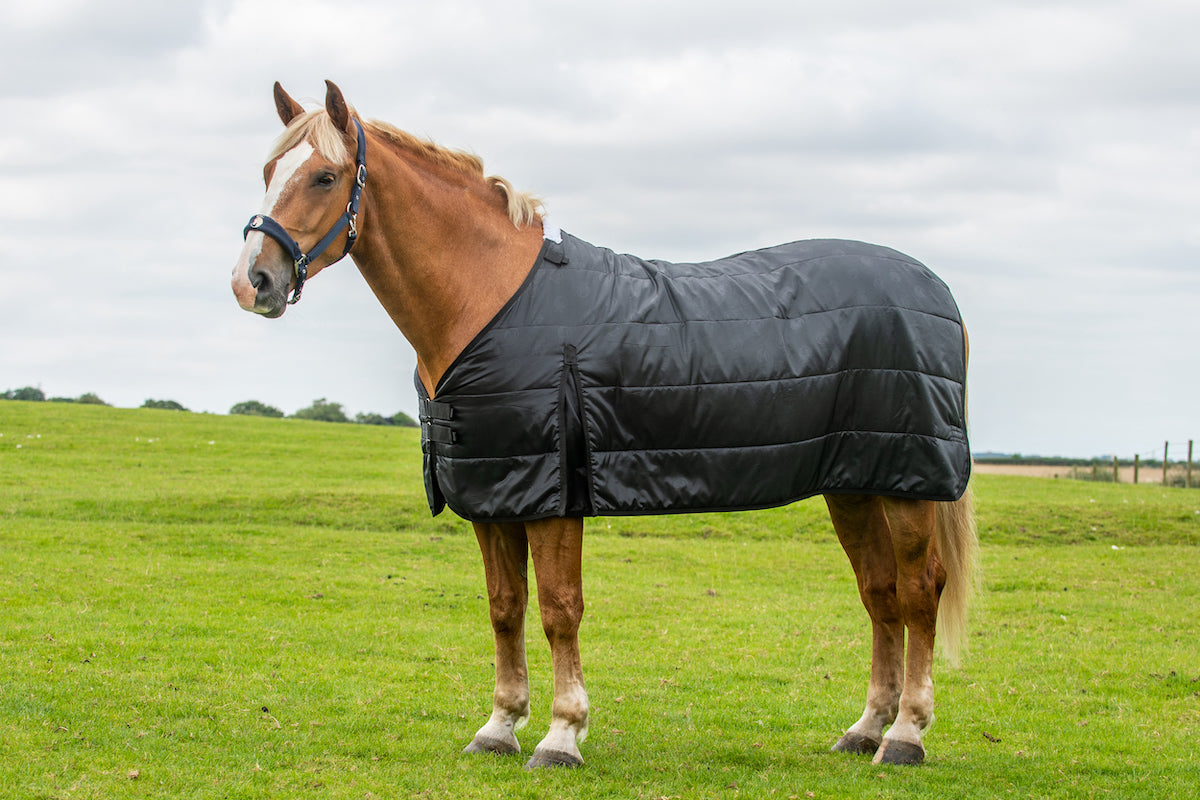 Classic 200g Rug Liner | Heavy Horses | The Big Horse Shop