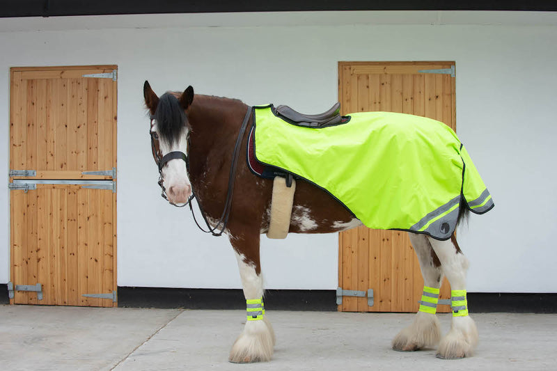 High Quality Heavy Horse Rugs Designed to fit, Made to last