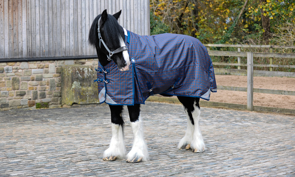 Broad Fit Horse Rugs | Extra Room for Comfort & Movement