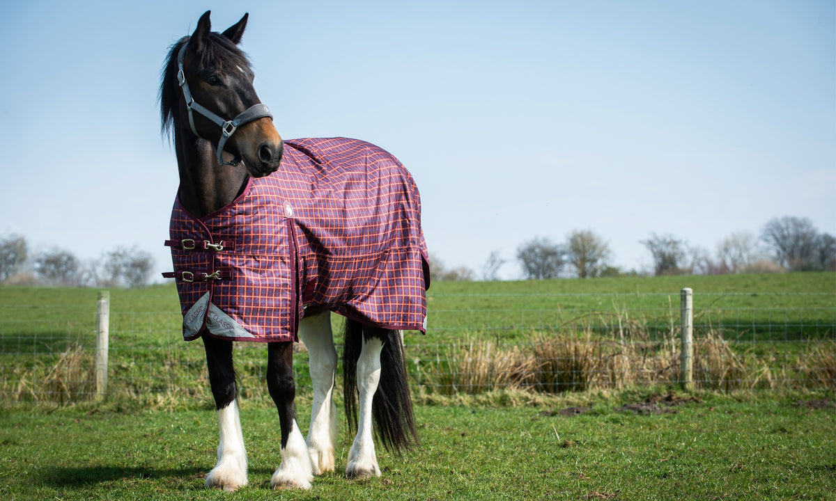 Horse Rug Fit Guide | Find the Perfect Fit for Your Horse