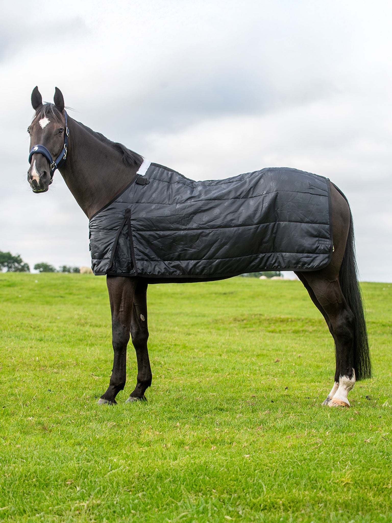 Classic 50g Rug Liner | Light-Medium Horses | The Big Horse Shop