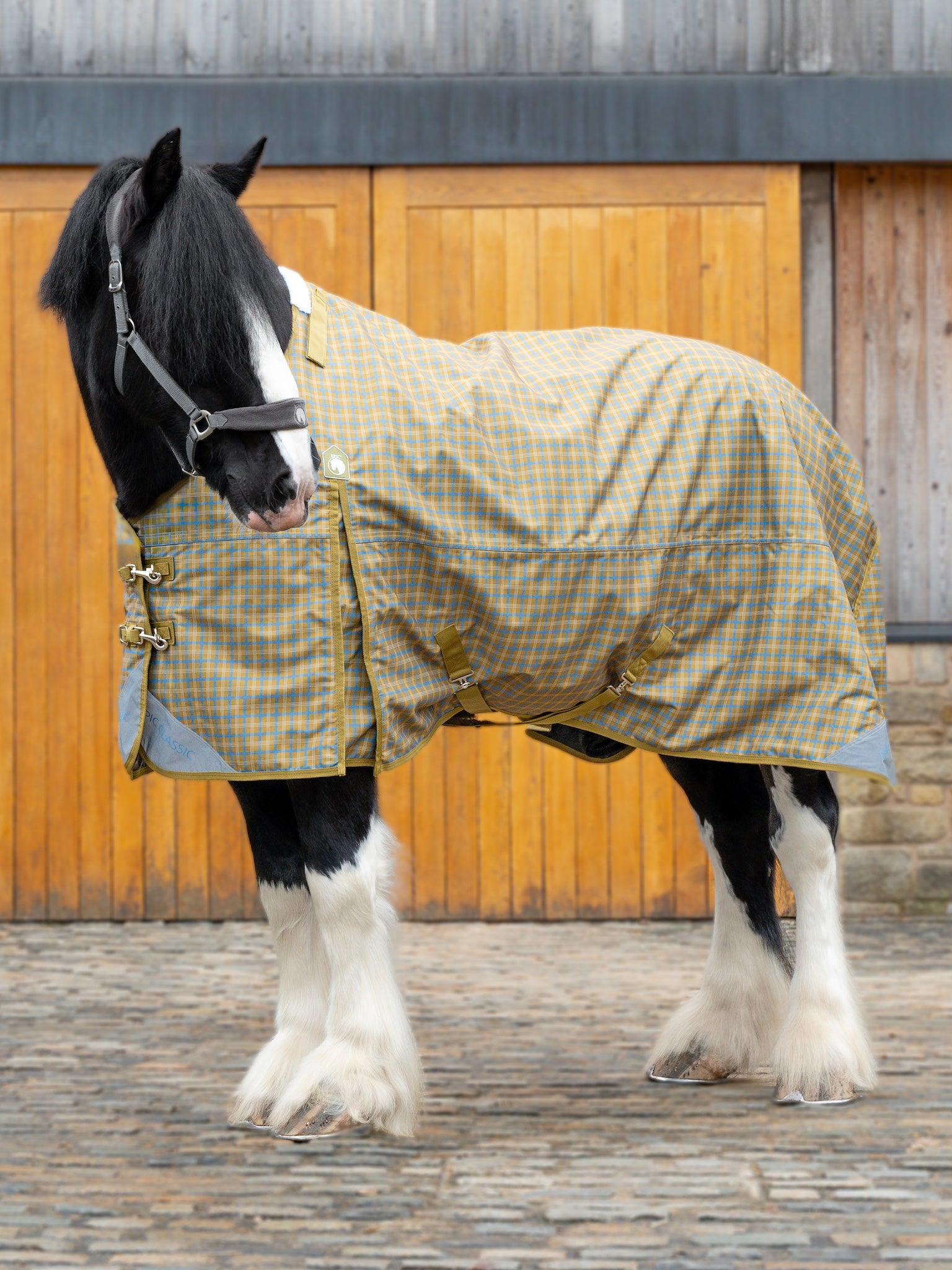 Classic No Fill 0g Turnout Rug | Heavy Horses | The Big Horse Shop
