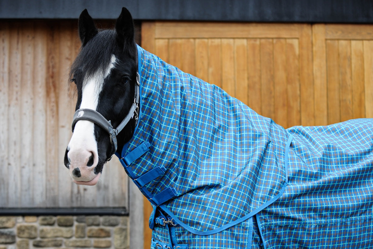 Classic 50g Turnout Neck | Heavy Horses | The Big Horse Shop
