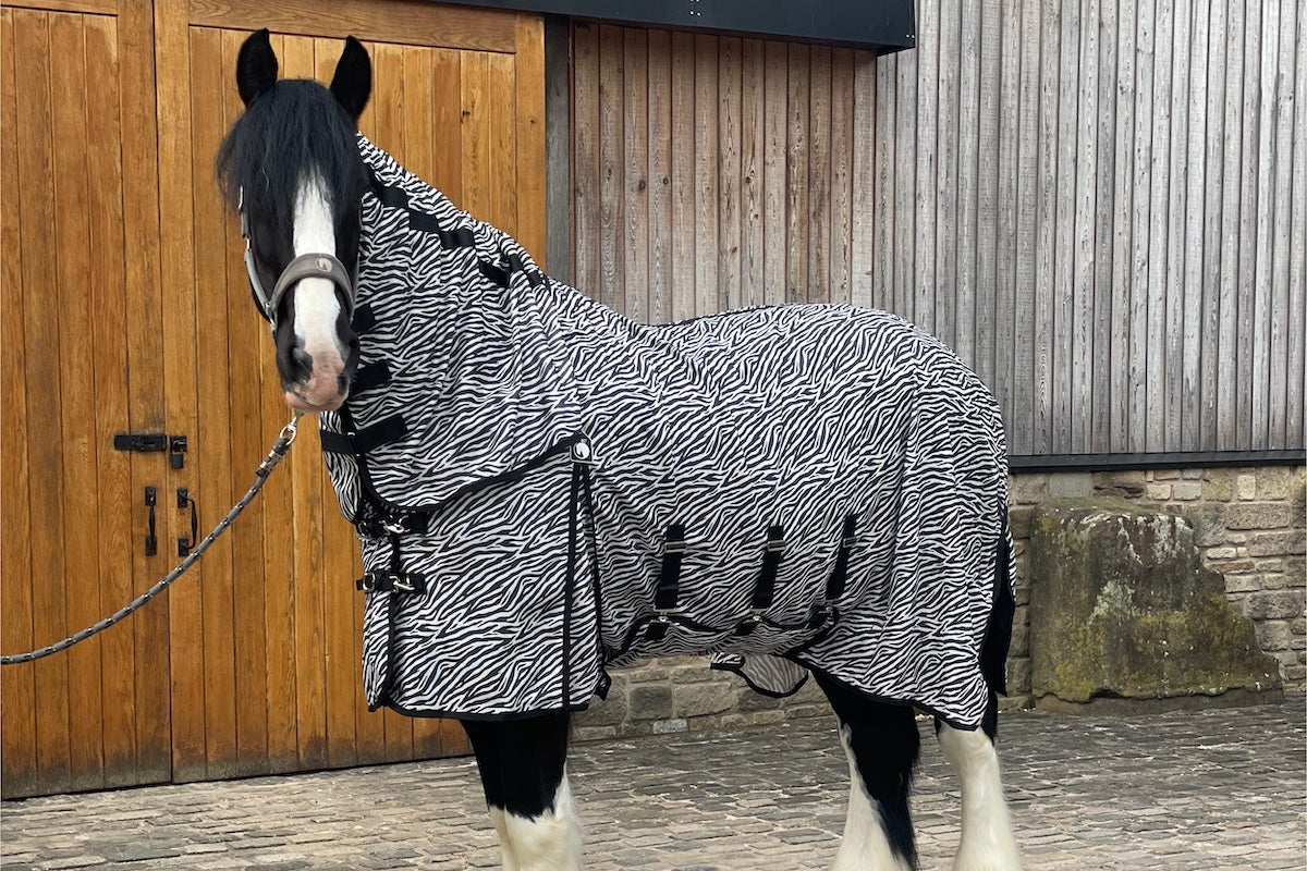 Zebra Fly Rug with Belly Piece | Heavy Horses | The Big Horse Shop
