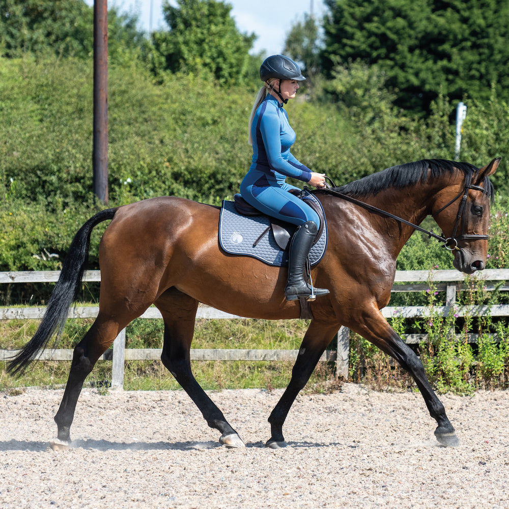 Heavy horse rugs & heavy horse boots