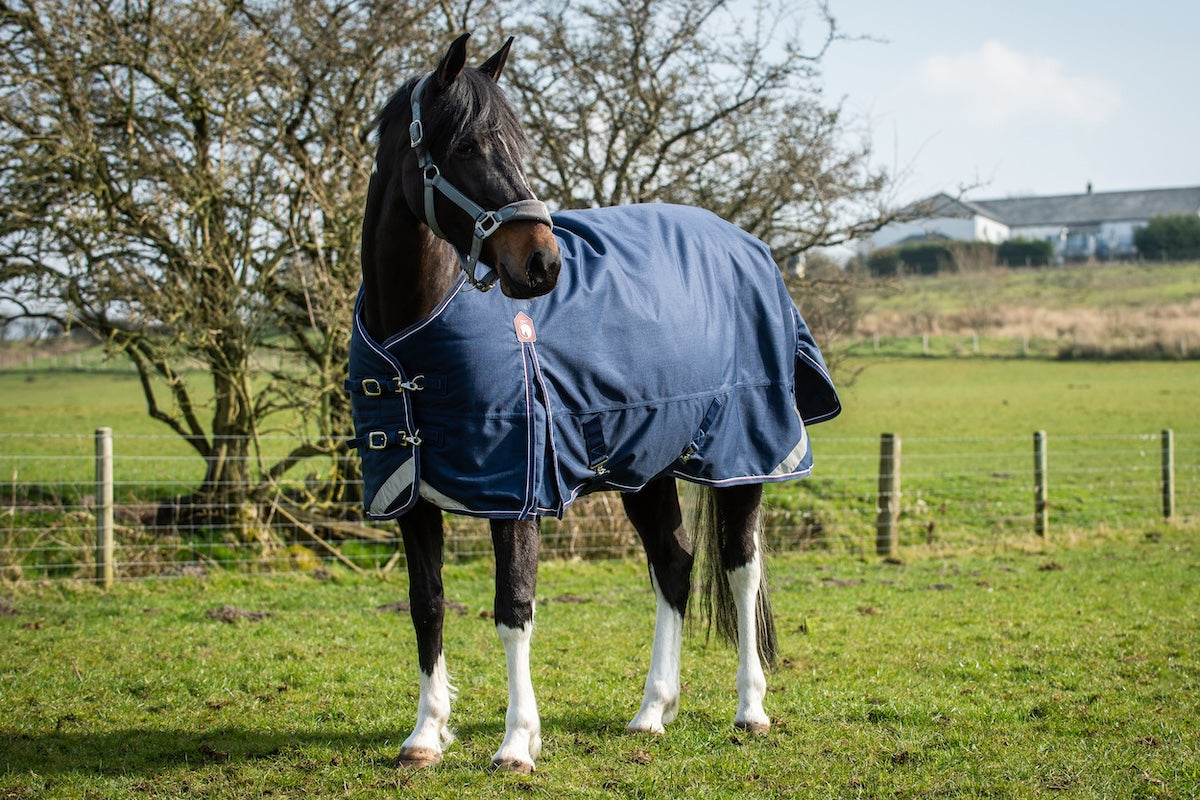 Essential 40g Turnout Rug | Lightweight | The Big Horse Shop
