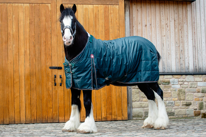 High Quality Heavy Horse Rugs Designed to fit, Made to last
