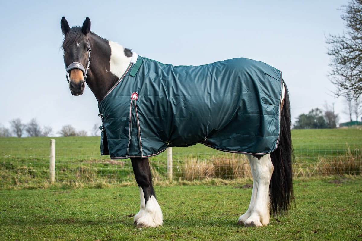 Essential 50g Stable Rug | Light-Medium Horses | The Big Horse Shop