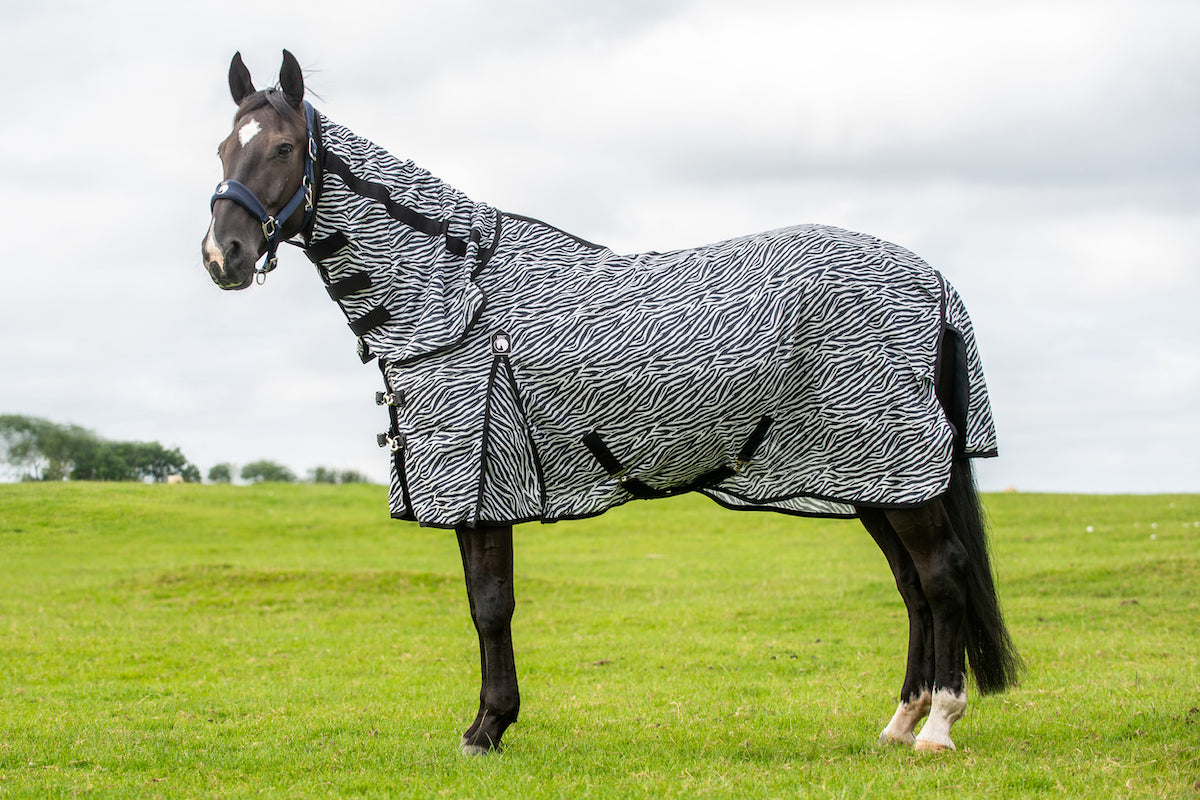 Zebra Fly Rug for Light-Medium Horses – Scientific Insect Protection